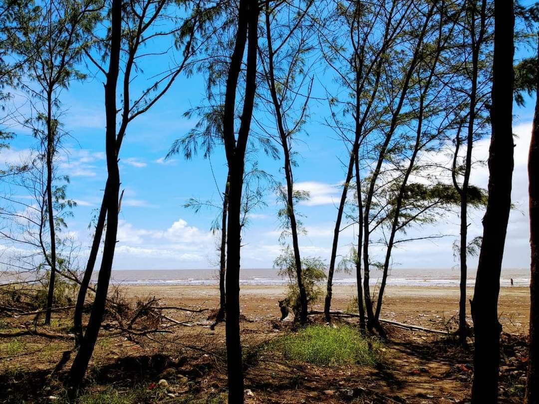 Bhuigaon Beach, Vasai: All You Need to Know BEFORE You Go (2024) by ...
